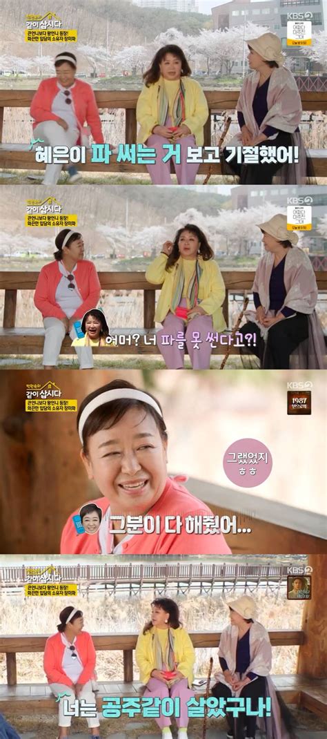 장미화 곗돈 받기 15일 전 계주 도망아파트 두 채 값 날렸다 같이삽시다 종합 네이트 연예