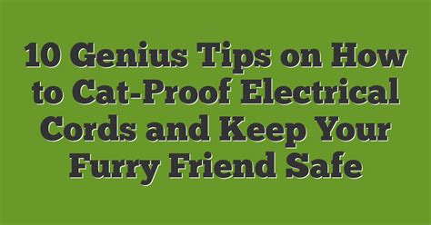 Genius Tips On How To Cat Proof Electrical Cords And Keep Your Furry Friend Safe