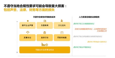Moka 数据合规专题：跨国公司合规运营策略与数字化实践 极客公园