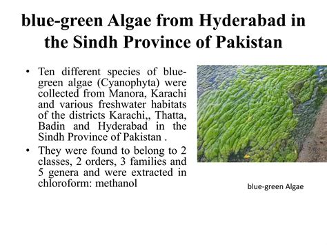 Algae Distribution In Pakistan Pptx