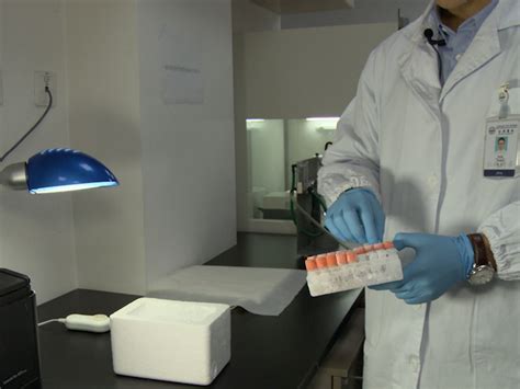 A Simple And Efficient Method For In Vivo Cardiac Specific Gene