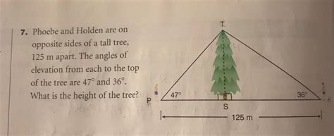 Trig Word Problem Grade 12 Applied Math Math Help Forum