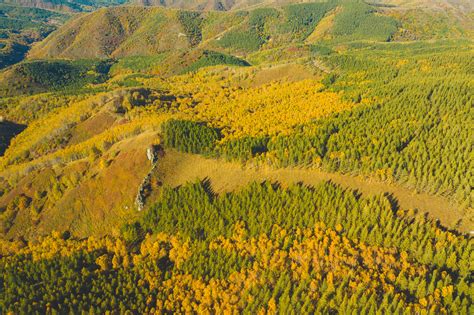 秋日风景素材 秋日风景模板 秋日风景图片免费下载 设图网