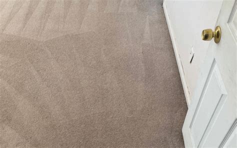 How To Remove Common Stains From Carpets