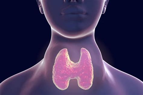 Diffuse toxic goiter 스톡 사진 로열티 프리 Diffuse toxic goiter 이미지 Depositphotos