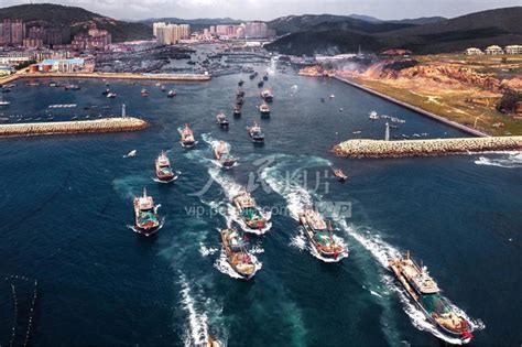 辽宁大连黄渤海开渔 人民图片网