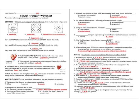 Mastering Osmosis Your Complete Worksheet Answer Key In Pdf Format