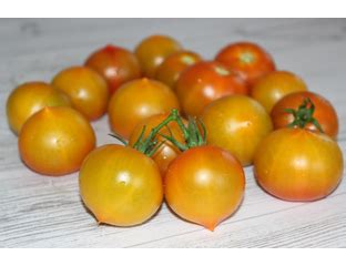 Биколоры и полосатые сорта томатов - Red Topped Gem (Драгоценный камень ...