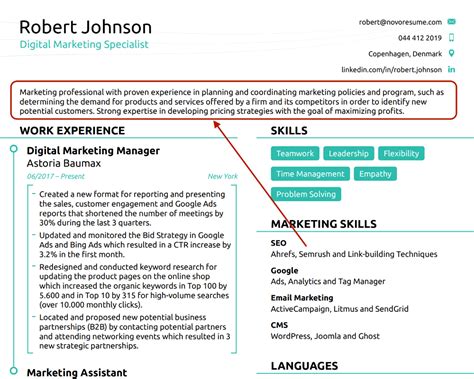 Resume Summary Examples How To Guide Artofit