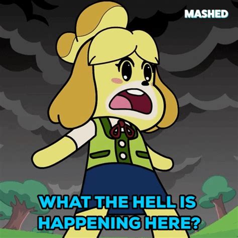 Isabelle GIFs Get The Best GIF On GIPHY Isabelle GIFs Get The Best GIF On GIPHY