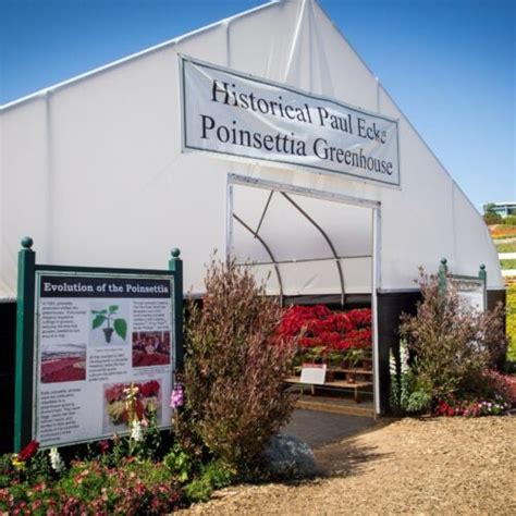 22 Fun Things To Do At Carlsbad Flower Fields 2026