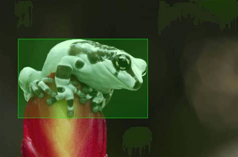 Unidata On Linkedin Annotating With Bounding Boxes Best Practices Unidatapro