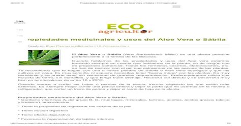 Propiedades Medicinales Y Usos Del Aloe Vera O Sábila Ecoagricultor