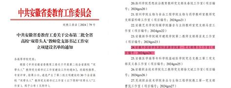 国际旅游学院第一党支部获批省级“双带头人”教师党支部书记工作室 安徽外国语学院官网︱anhui International Studies