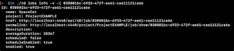 Learn The Rundeck Cli