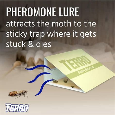 Terro Non Toxic Indoor Pantry Moth Trap 2 Count T2900 The 47 Off