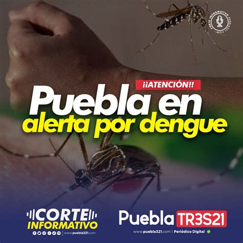Suma Puebla Un Nuevo Caso De Dengue Salud Puebla321