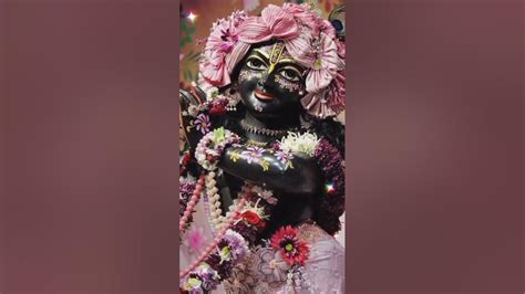 राधे राधे राधे राधे राधे 💞 राधाबल्लभलाल 💞 मेरे प्यारे 💞🙏💫 राधेकृष्णप्रेमिका 💞💫 Youtube