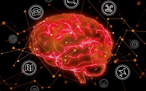 Cradle To Career Roadmap Sbcss