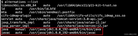linux上，多个jdk版本如何管理 linux多个jdk如何指定 csdn博客