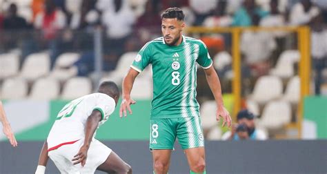 Algérie l étonnante rumeur de transfert autour de Belaïli