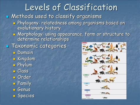 Ppt Taxonomy And Classification Powerpoint Presentation Free Download Id1740484