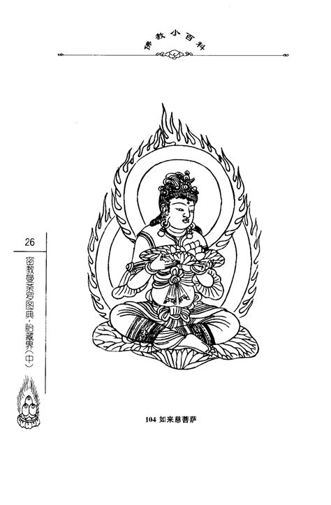 佛教小百科 集一辑 05 密教曼荼罗图典二胎藏界中册 中国社会科学出版社PDF转图片 咒符手印 第32页 大咒仙网站 佛法密