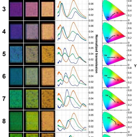 A Design Of Cross Shaped Aperture Arrays Linearly Polarized Light Is