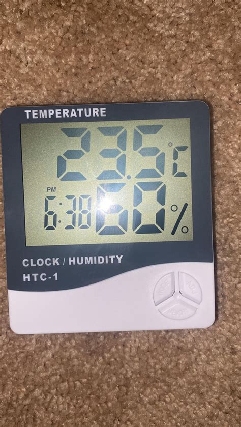 Strain Candy Bonez R Trees