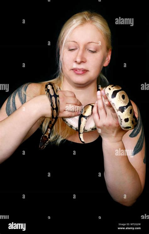 Portrait Of Girl With Royal Python Snake Beautiful Woman Holds Snake In Hands And Posing In