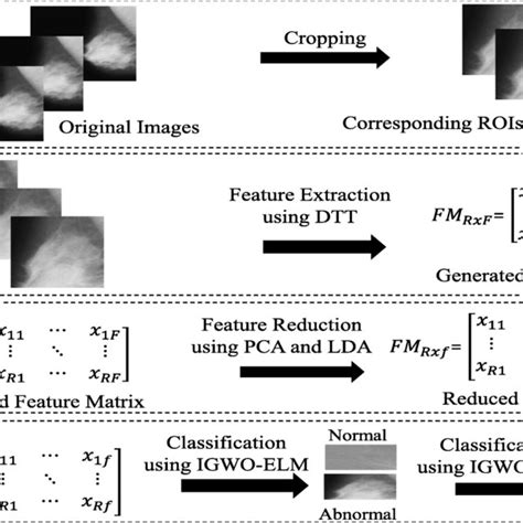 A Detailed Flowchart Of The Proposed Igwo Elm Download Scientific Diagram