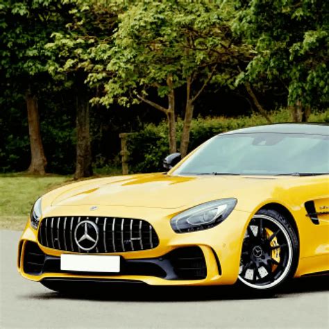 Stretching Exercises Businessezee