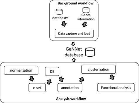 Gennet An Integrated Platform For Unifying Scientific Workflows And Graph Databases For