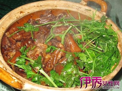 红烧猫肉的做法大全图分享红烧猫肉的做法大全 四步教你做出美味猫肉 伊秀美食 yxlady