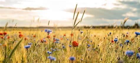 Seb O Posted On Linkedin