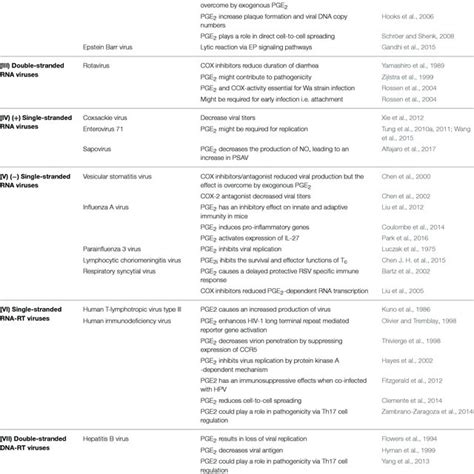 The Biosynthesis Pathway Of Pge 2 A Production Of Pge2 Is Download Scientific Diagram