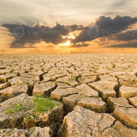Dry Land Hd