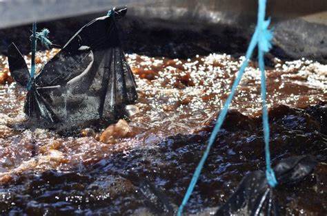 Compost Tea What Is It How To Use It And Does It Work