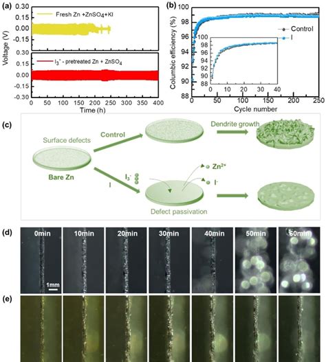 A The Voltage Profiles Of Znzn Symmetric Cells With Either Fresh Zn