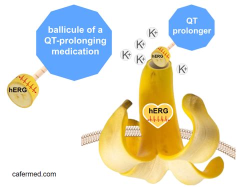 Guide To Qt Prolonging Medication How To Manage And Remember The