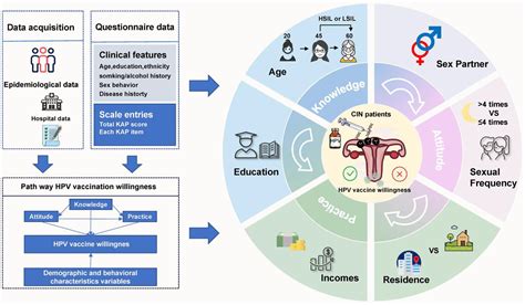 Frontiers Hpv Vaccination Willingness And Behavior Among Patients