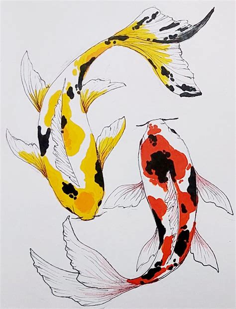 Colorful Koi Fish Art Drawing