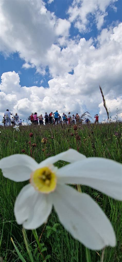 Suncica Cvetkovic Posted On Linkedin