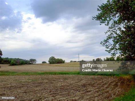 Mario Grass Photos And Premium High Res Pictures Getty Images