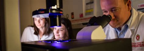 Research In The Hematology Oncology Fellowship Department Of Medicine