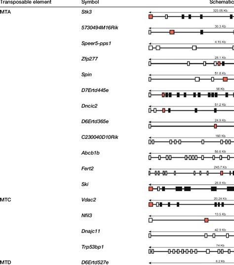 Intronexon Structure Of Selected Chimeric Transcripts Download Table