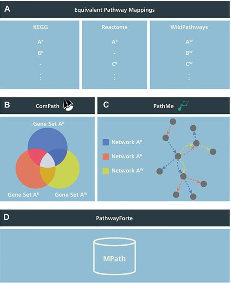 Frontiers The Impact Of Pathway Database Choice On Statistical Enrichment Analysis And