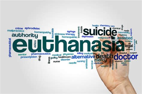 รูปภาพeuthanasia เลือกดูภาพถ่ายสต็อก เวกเตอร์ และวิดีโอ3351 Adobe
