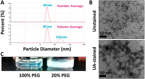 Maximizing The Supported Bilayer Phenomenon Liposomes Comprised