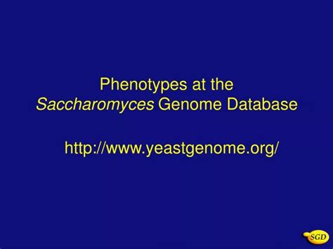 Ppt Phenotypes At The Saccharomyces Genome Database Powerpoint